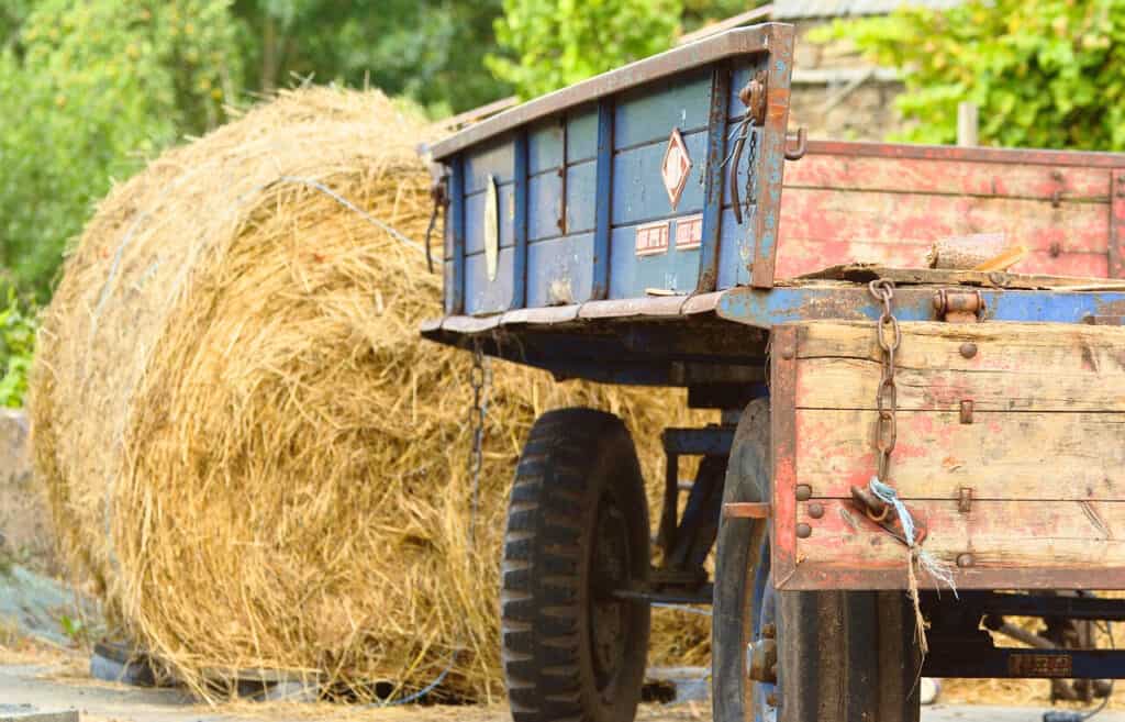 67+ Homesteading Ideas to Get You Started - Rural Living Today