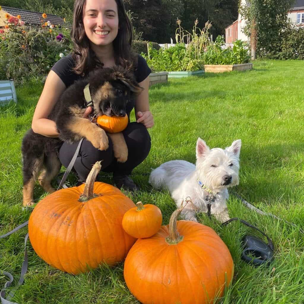 Emily Cupit, Author at Rural Living Today