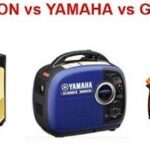 The Pros and Cons of Keeping a Rooster ~ Learn Which is Best for You