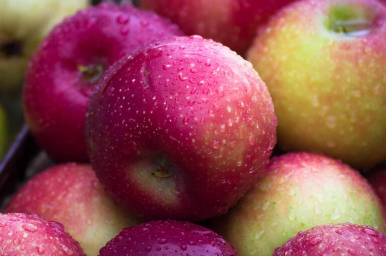 Storing Apples: How to Store Apples