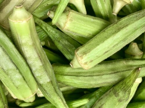 Growing Okra Plants ~ How to Grow Lots!