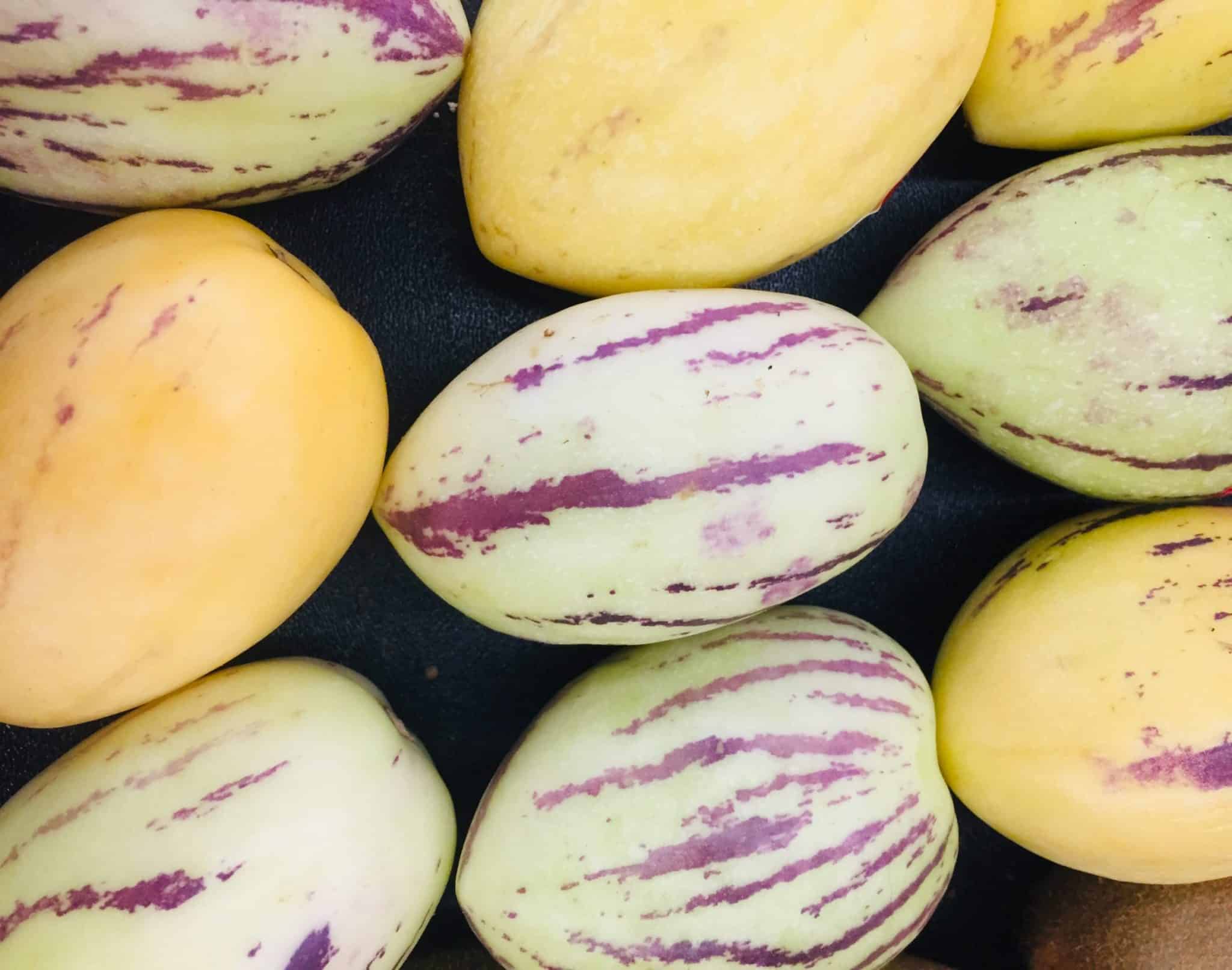 Pepino Melon ~ Eating and Growing These Tasty Melons - Rural Living Today