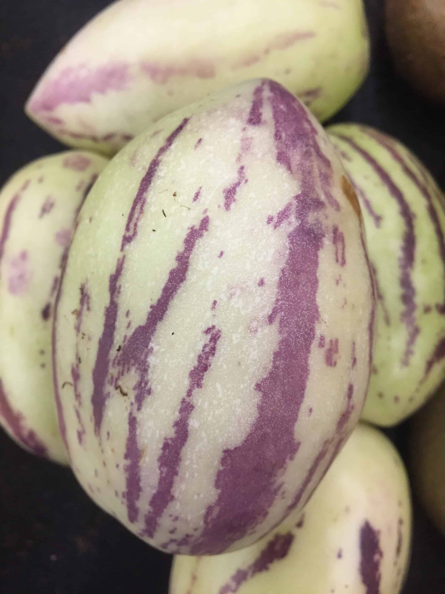 Pepino Melon ~ Eating and Growing These Tasty Melons