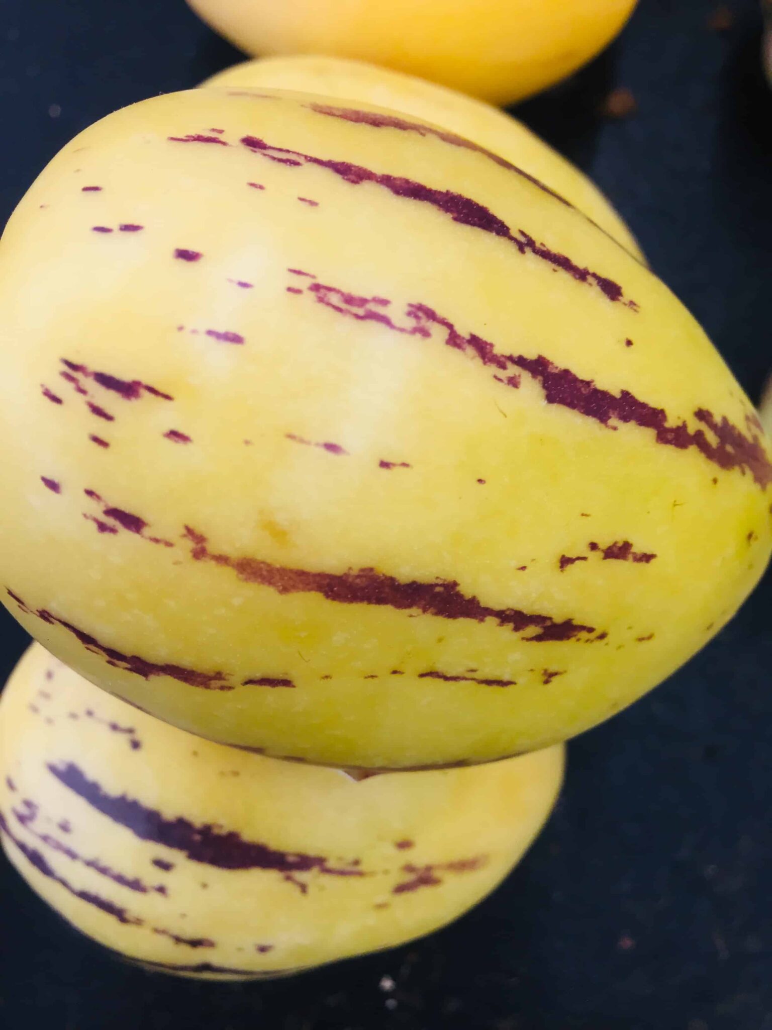 Pepino Melon ~ Eating and Growing These Tasty Melons