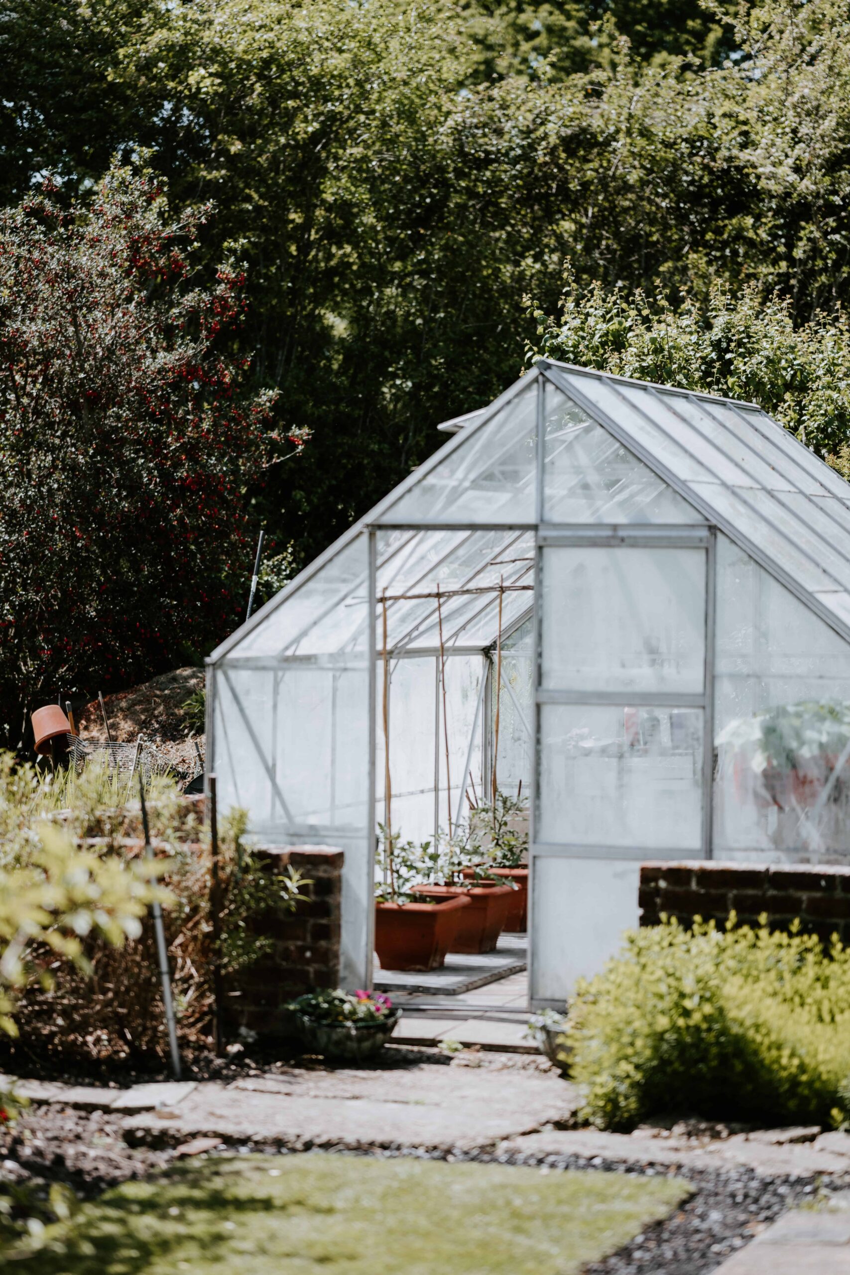 Portable Greenhouse: What to Consider Before Buying One
