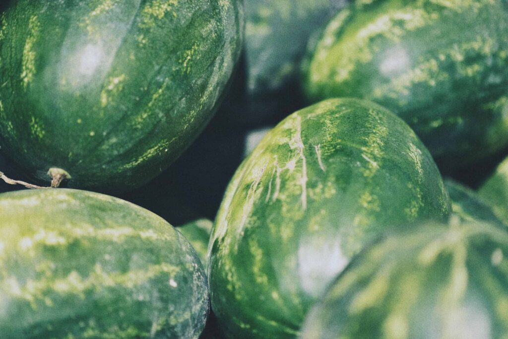 Growing Watermelon Tips: How to Grow Watermelons Successfully